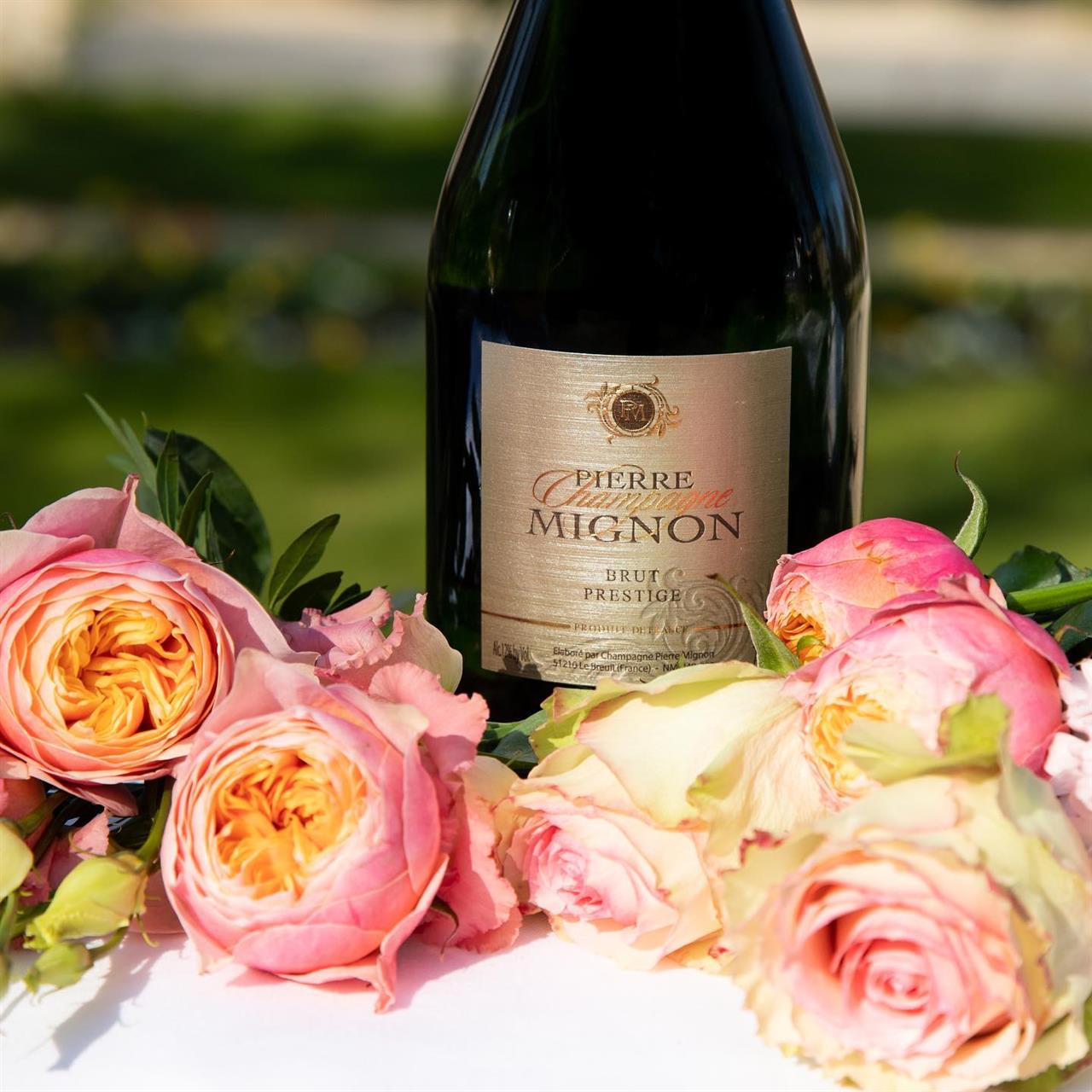 Champagne Pierre Mignon - Paysages de Champagne