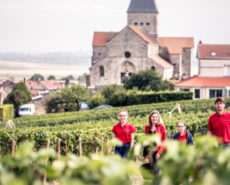 Château de Sacy - Reims Tourisme
