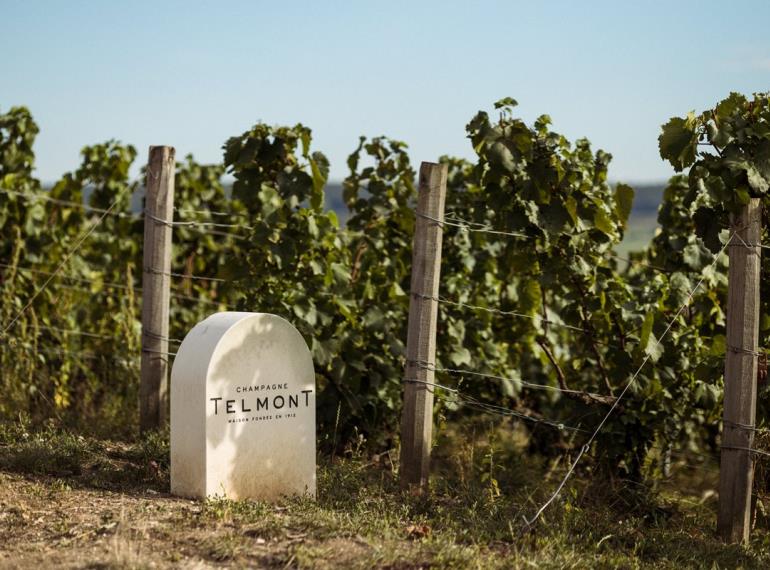 Champagne Telmont - Paysages de Champagne