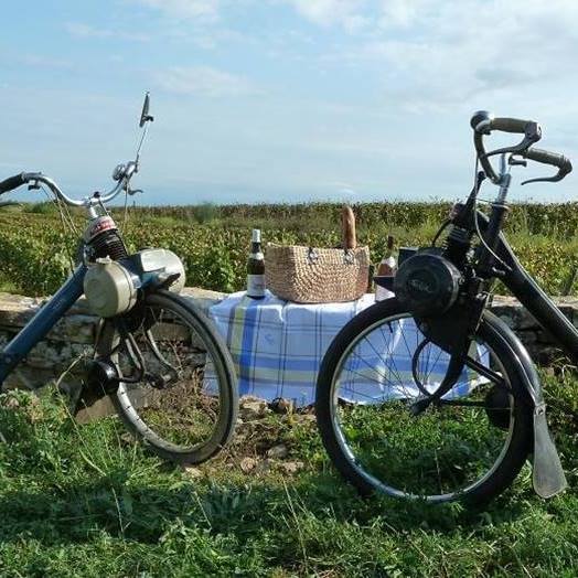 Solex Tour - Paysages de Champagne